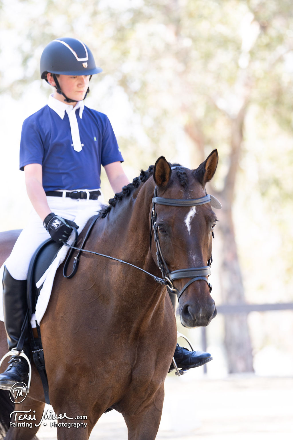 Youth Dressage Rider Recognition Pin Program